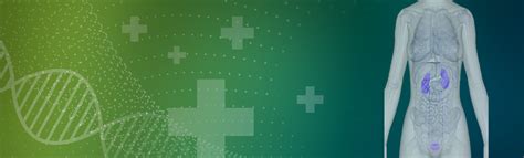 Urodynamic Testing — Health And Hopes