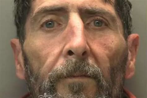 Pair Caught Having Sex In Lidl Car Park Wales Online