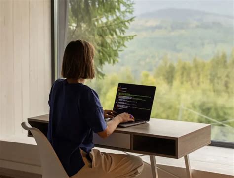 Pros And Cons Of Outsourcing Software Development Unbench