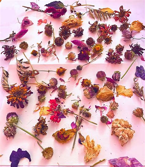 Tiny Dried Flowers Dried Flower Pieces 20 Flowers Etsy