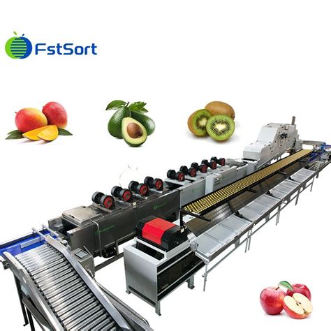 Avocado Washing Drying Waxing Sorting Packaging Machine For Sale Citrus