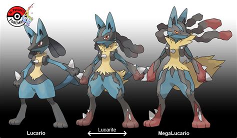Lucario Analisi Pokémon Wiki Fandom
