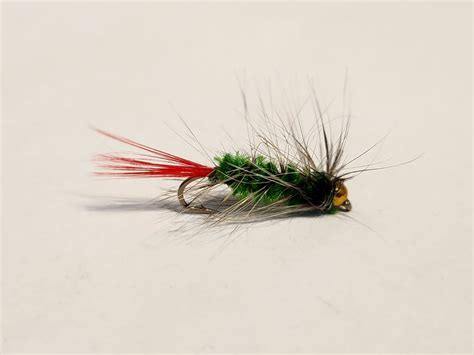 Wooly Worm Green Xplorer Fly Fishing