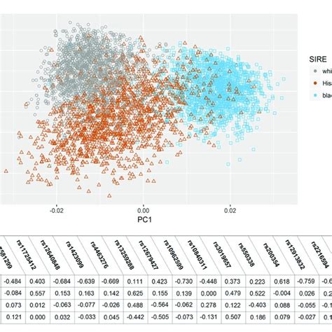 Principal Component Analysis Based On Ancestry Informative Markers