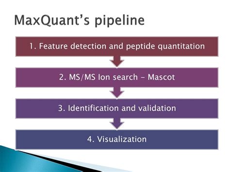 Ppt Maxquant Enables High Peptide Identification Rates