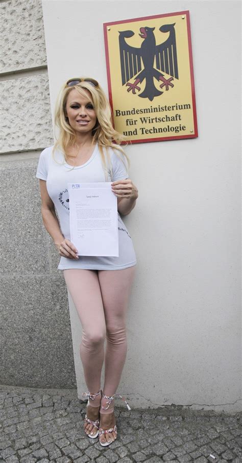 눈빛하며 몸매 여전한파멜라 앤더슨 해외 연예가 소식 네모판