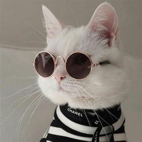 Laura Sofia Wilches Rozo Youtube