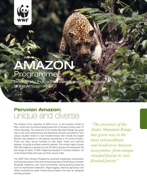 Amazon Programme Biodiversity Indigenous Peoples And The Source Of