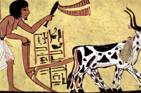 Pencapaian Penting Dari Peradaban Mesir Kuno Yang Mengubah Dunia