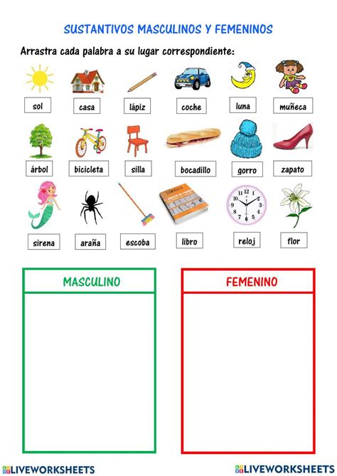 Género Masculino Y Femenino Activity Spanish Classroom Activities