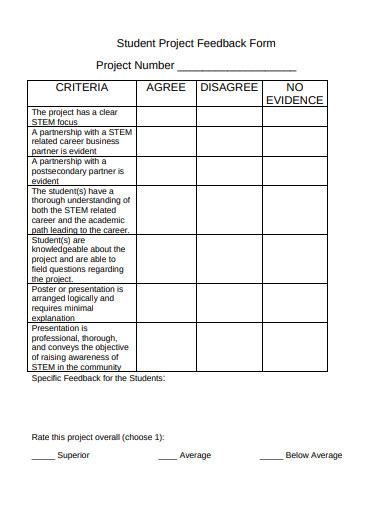 13 Project Feedback Templates Pdf