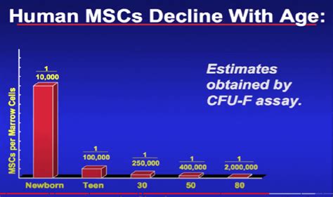 Mscs Decline With Age R Mesenchymalstemcells