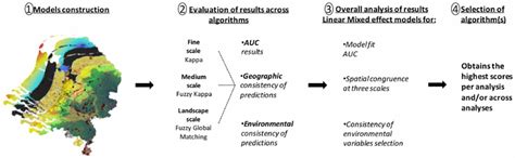 sdm s analysis framework framework for analysing the algorithms
