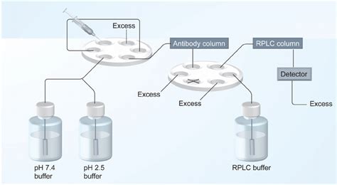 System For Combining Immunoaffinity Chromatography With Reversed Phase Download Scientific