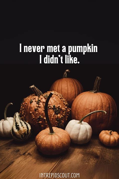 Pumpkin Picture Quotes