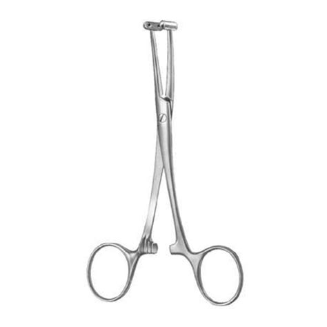 Martel Rees Grayrocks Enterprises