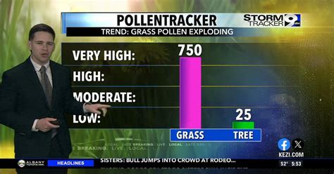 Grass Pollen Exploding In Eugene Area Video
