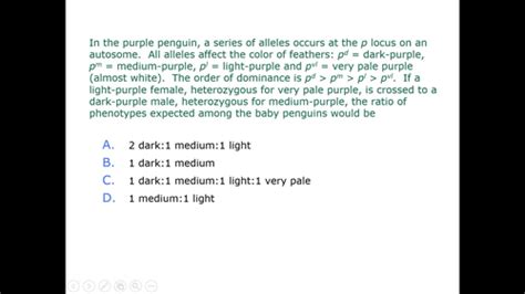 Bil 250 Exam 2 Iclicker Questions Flashcards Quizlet