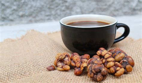 The Chemistry Behind Civet Coffees Distinctive Flavour Asian