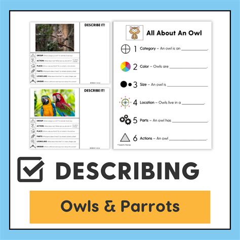 Birds Themed Language Unit Speech Language Therapy