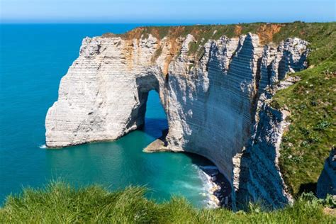 Nucleoid What Is Function And Structure Evidence Network