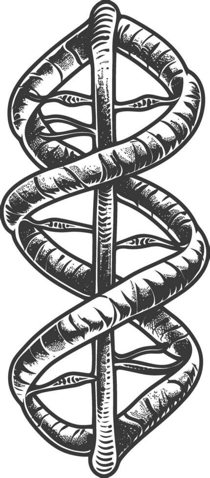 Gene Dna Mutation Symbol With Engraving Style Black Color Only 46012128