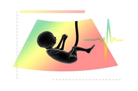 The Different Types Of Ultrasounds Explained Tummy Vision