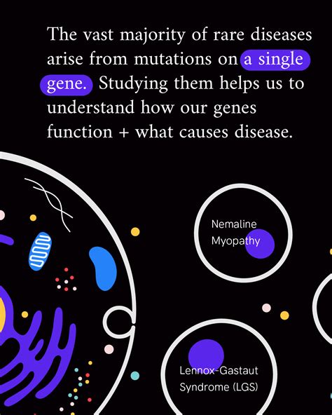 Mysteries Of Human Cells 10 Questions Answered Czi Blog