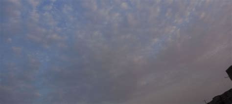 مبینا ابراهیمی On Linkedin اسمون