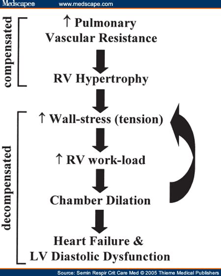 Ventricular Dysfunction Right Right Ventricular Dysfunction