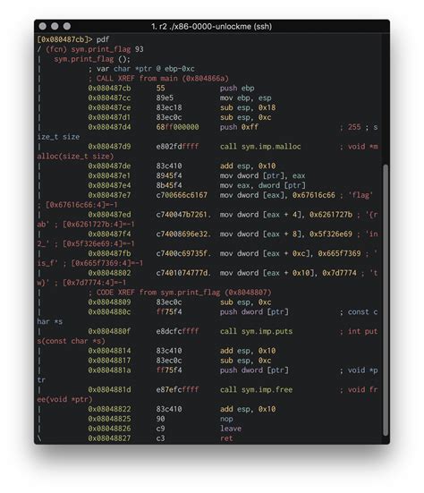 A Practical Introduction To Radare2 Static Analysis Stackrip