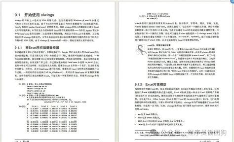 太强了！！ Python Excel——飞速处理数据分析与处理，让办公简单到飞起【附pdf】 哔哩哔哩