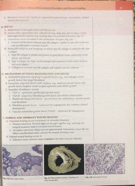 Pathoma Fundamentals Of Pathology Latest 2025 Edition