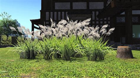 ドマグラスガーデン Ff14 Ff14 ドマグラスの苗 Lusab