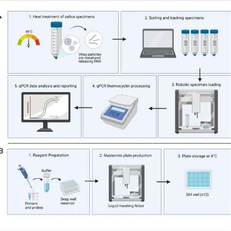 Touchdown Rt Qpcr Protocol Thermocycling Conditions For One Step Download Scientific Diagram