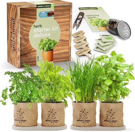 Herb Garden Starter Kit Deluxe Culinary Herb Gardening