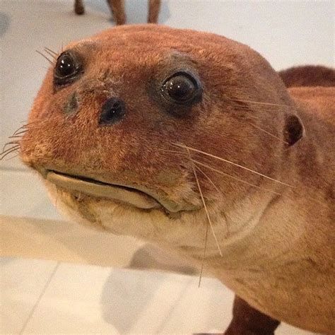 Pin Di Gabi 🧟‍♀️ Su Aes Ava