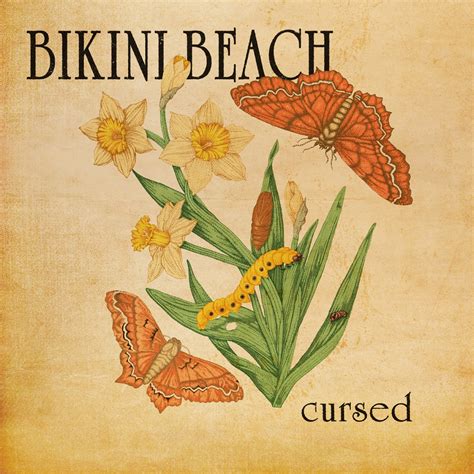 Noise From Both Sides Of The Lake Bikini Beach Mangowave Magazine