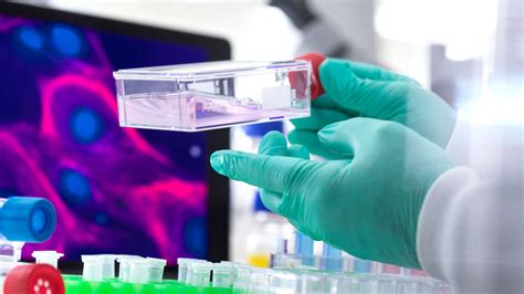 Bancos De Células Madre En Monterrey Sg Cells