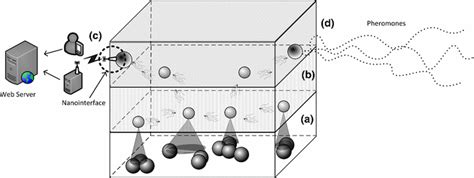 Full Molecular Nanonetwork Illustration A Short Range Layer With Download Scientific Diagram