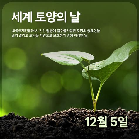 수도권대기환경청 [세계 토양의 날🌱] 뿌리 깊은 나무는🌲 바람에 흔들리지 않습니다 좋은 토양에서 난 생명은 쉽게 사라지지 않죠 토양은 생명에게 필요한 모든 영양분을🍎