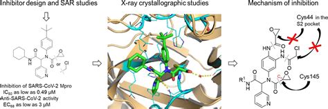 Covalent Modifiers Design Synthesis X Ray Crystallography And Biological Activities Of