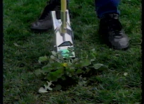 Weed Popper 1990s Tv Commercial Free Download Borrow And