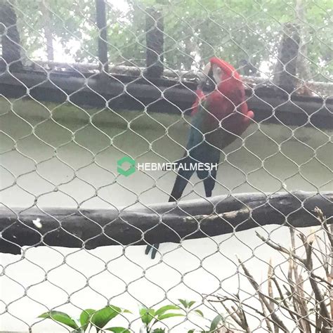 The Role Of Aviary Zoos In Bird Conservation