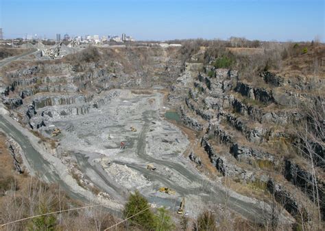 Quarry Birds The Center For Conservation Biology