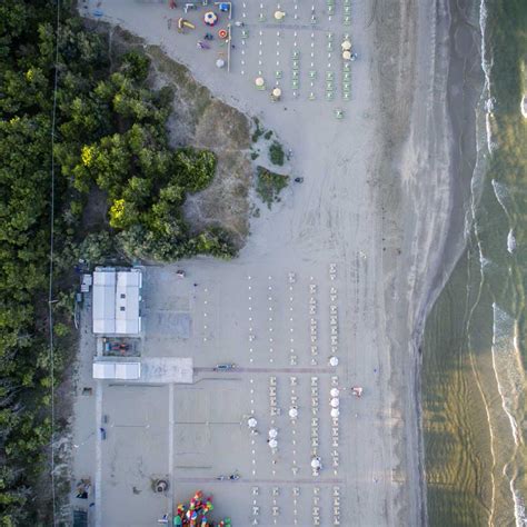 Herman Project Bam Strategie Culturali