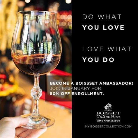 Looking For Something New In 2025 My First 6 Months At Boisset