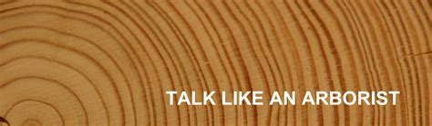 Urban Forestry American Fork Ut Official Website