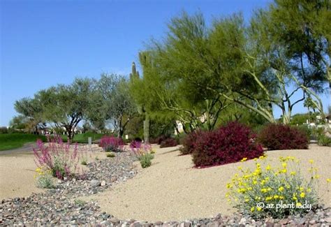 Ramblings From A Desert Garden Beautiful Plant Combinations