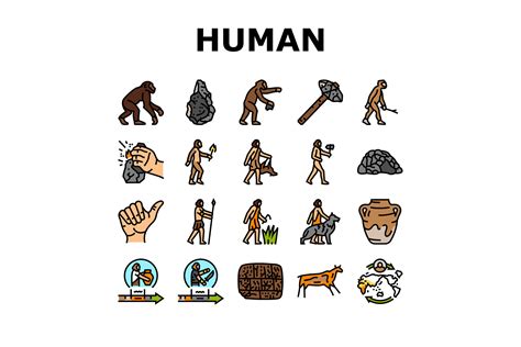 Human Evolution Man Caveman Icons Set Graphic By Stockvectorwin
